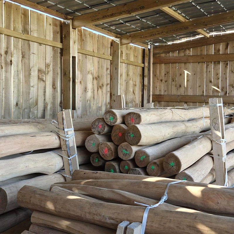 About Robinia – Dylan Robinia Timber